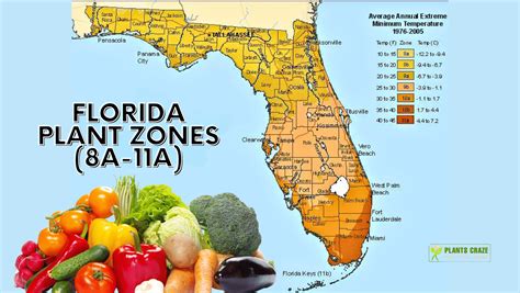 Gardening Zones Map 2024 Florida Kassi Matilda