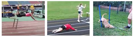 Sorting Python Parallel Arrays Using The Npargsort Function James