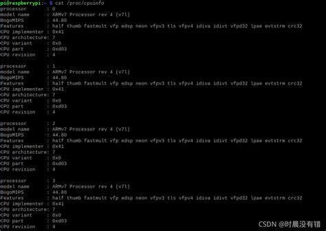 以树莓派为例基于linux系统下查看cpu信息树莓派怎么查cpu核数 Csdn博客