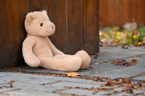 Free Photo Cute Teddy Bear Outdoors Still Life