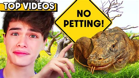 Breaking The Craziest Laws For 24 Hours Shocking Stokes Twins Youtube