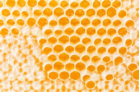 꿀 빗 빈 벌집에서 노란색 배경 육각형 텍스처 달콤한 건강 식품 천연 유기농 설탕 황금 자연 추상 패턴입니다 벽지 공간을 복사합니다 기치 꿀벌의 집 가득 찬에 대한 스톡