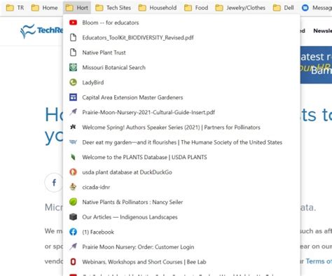 如何在 Microsoft Edge 收藏夹栏中使用收藏夹栏