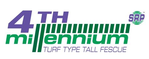 Tall Fescue United Seeds