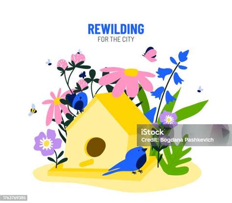 Rewild 벡터 일러스트 레이 션 개념입니다 새와 대형 야생화와 곤충이 있는 Bildbox 생물 다양성 개념 토착 종의