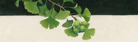 Qt Qml实现无边框窗口qml 无边框 Csdn博客