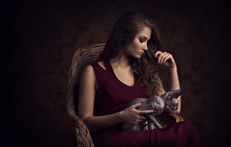 Wallpaper Cat Cat Girl Pose The Dark Background Chair Hands
