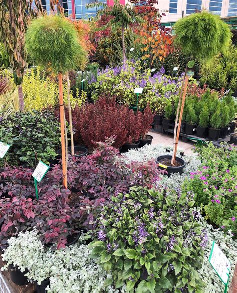 Our Story Hello Hello Plants And Garden Supplies