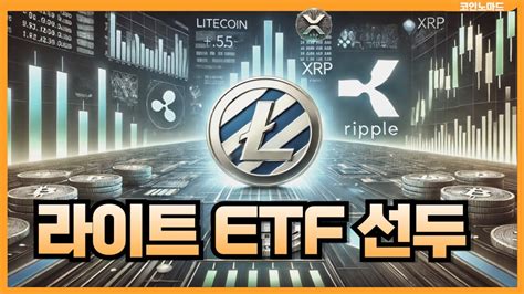 크립토 운명 4 가지 코인의 채택 Vs 조정 사이 라이트 Xrp 도지코인 솔라나 누가 먼저 Youtube