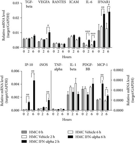 Regulation Of Gene Expression By Ifn α In Human Mesangial Cells Human