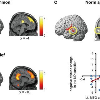 Brain Regions Activated During The Persuasion Task A Brain Regions