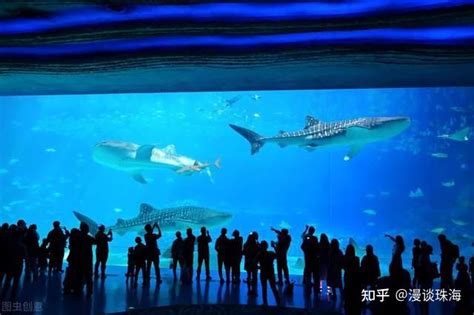 看了8届珠海航展，给打算来看航展的朋友十大个人建议 知乎