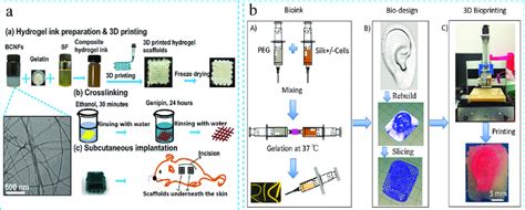 Schematic Diagram Of The 3d Printable Silk Fibroin Functional Hydrogel