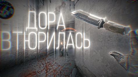 Дора ️ - YouTube
