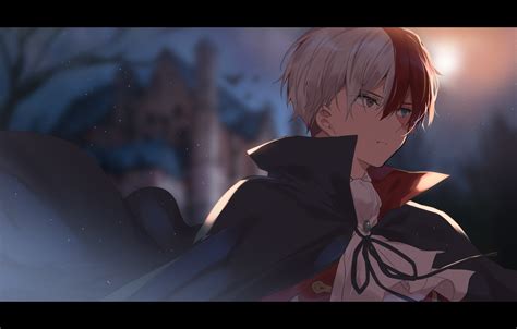 Todoroki Shouto Shōto Todoroki Boku no Hero Academia Image by コミ