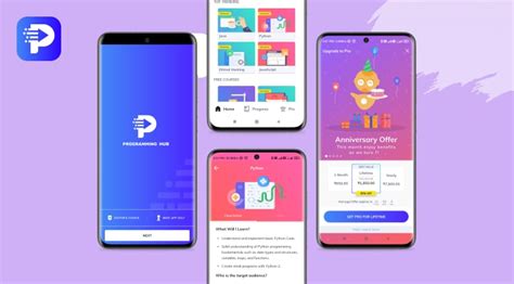 Case Study QA Testing And Design Prototypes For Programming Hub