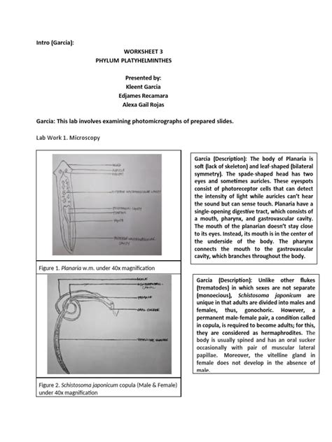 exercise 3 post lab pdf medical specialties