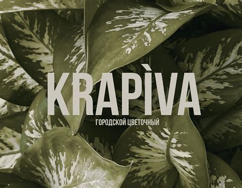 KRAPIVA // BRAND IDENTITY on Behance