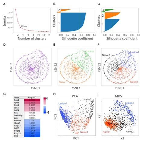 Clustering Of Microglia Single Cell Transcriptomes Using