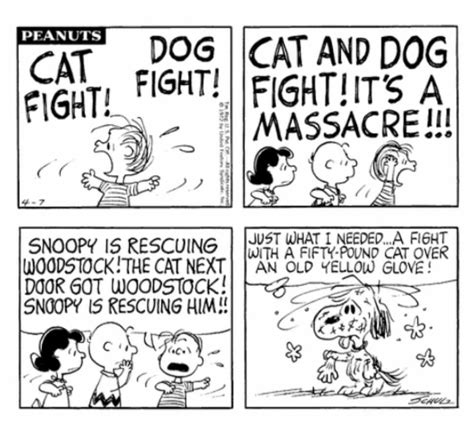 Pin By Steph Brown On Peanuts Snoopy Comics Snoopy Pictures Snoopy