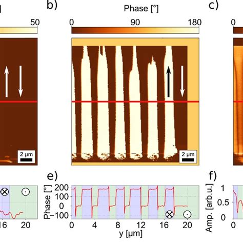 Periodically Poled Thin Film Lithium Niobate Pp Tfln In Plane Download Scientific Diagram