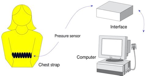 Breathing Movements And Breathing Rate Roger Frost Science Sensors And Automation