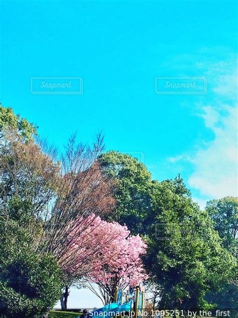 青と青の写真・画像素材 1095251 Snapmart（スナップマート）