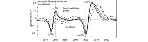 Plots Of The Pc1 Loading As A Function Of The Vibrational Frequency