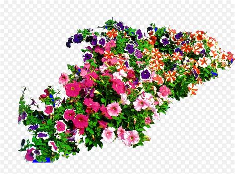 植物花png图片素材下载图片编号ybbgnpov 免抠素材网