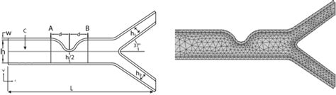 Schematic Diagram Of The Problem Left And Coarse Mesh Right Download Scientific Diagram