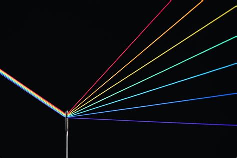 A Developmental Exit From Totipotency Nature Reviews Genetics