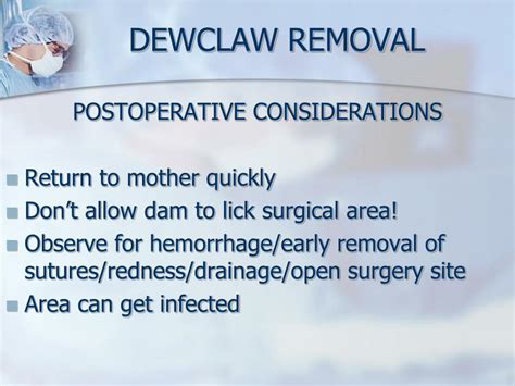 PPT - SURGICAL PROCEDURES PowerPoint Presentation, free download - ID ...