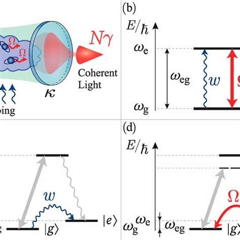A Ensemble Of N Two Level Atoms With Single Photon Rabi Frequency Ω2