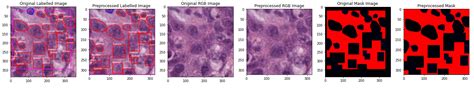 Python How Can I Resize A Mask And Rgb Image To Match By Cropping Out