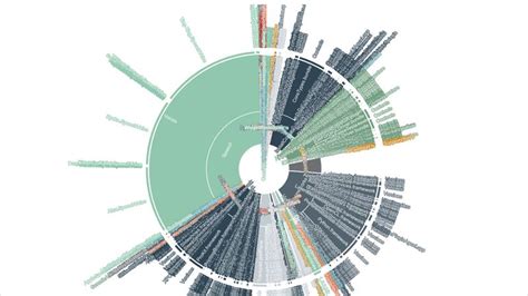 Sunburst Diagram Big Data Load Echarts 4