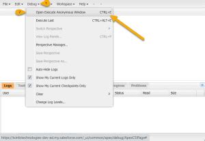 How To Access Developer Console In Salesforce SalesForce FAQs