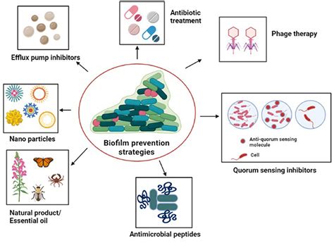 Frontiers Convergence Of Biofilm Formation And Antibiotic Resistance