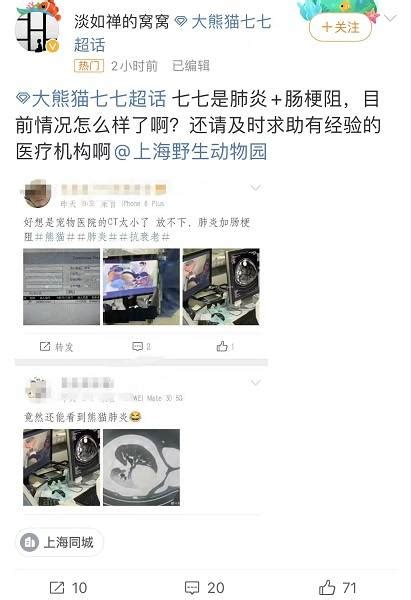大熊猫“七七”被曝去医院拍ct？上海野生动物园：确有此事，正全力救治检查网友生日