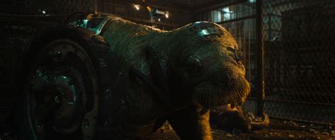 Teefs Marvel Movies Fandom