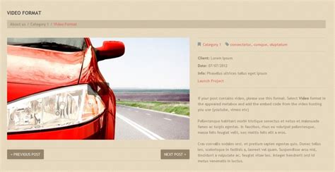 Wordpress How To Work With Portfolio Posts Formats On Cherry Framework