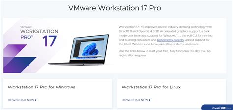 Vs Code C C Ubuntu Vscode Vmware Csdn