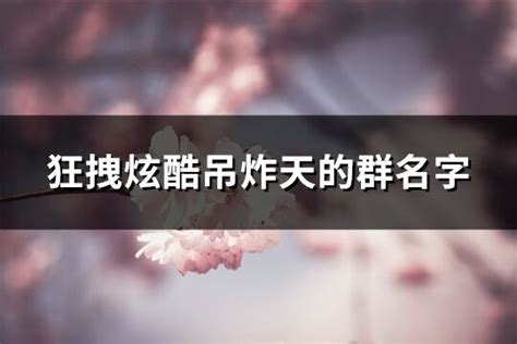狂拽炫酷吊炸天的群名字 优选129个 淘名吧网