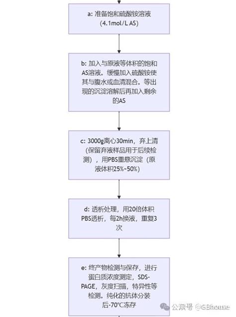 单克隆抗体的制备、纯化与抗体可变区基因测序 理论及实操 知乎