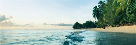 Emily Emily Siebert Twitter