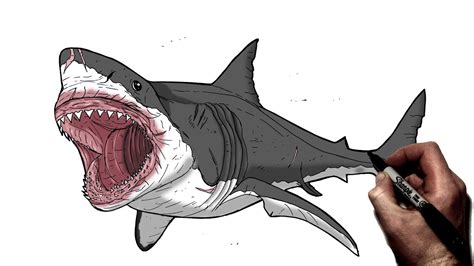How To Draw Megalodon Step By Step Jurassic World YouTube