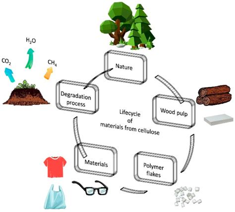 Biodegradable Polymers Properties Applications And Environmental Impact Pmc