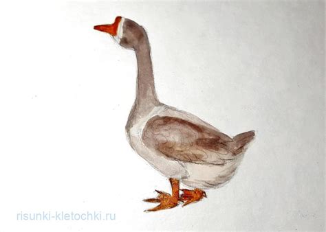Как нарисовать гуся поэтапно