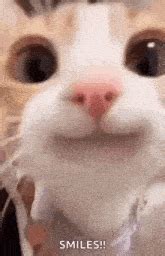 Cat Excited S Tenor
