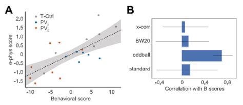 Correlation Between Behavioral And Functional Patterns Individual