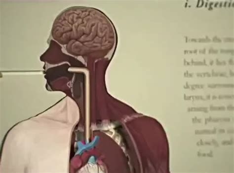 Fathi Awad Mohammed Ahmed Posted On Linkedin